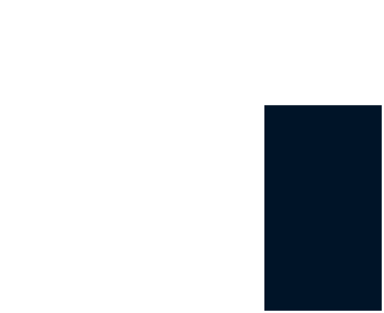 Services Software Development Polymorph Custom Software Development