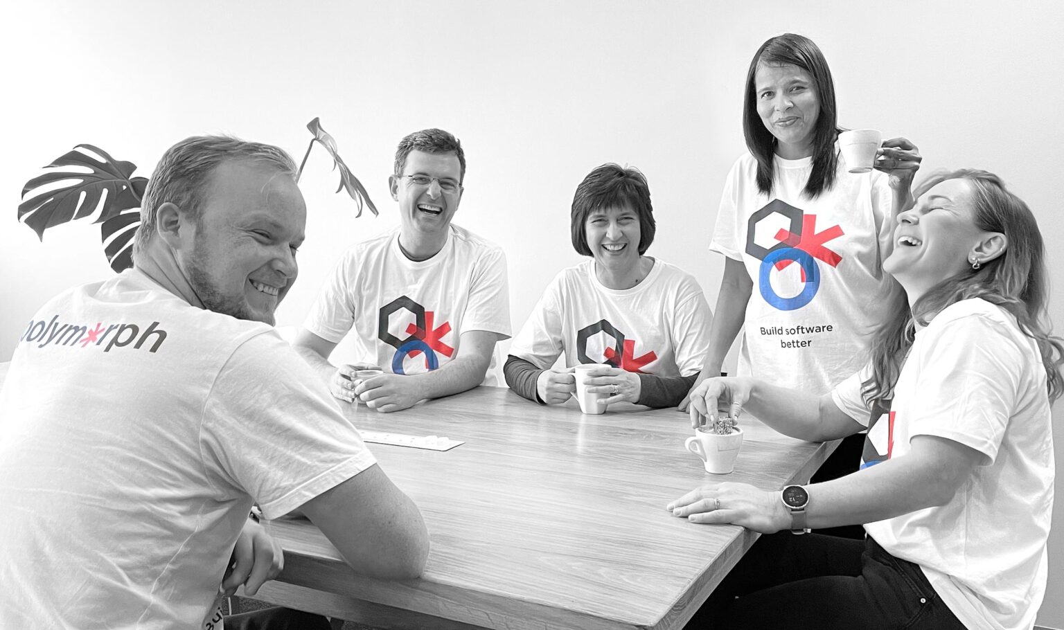 Taking new form: Polymorph's Rebranding Story - Polymorph - Custom Software Development