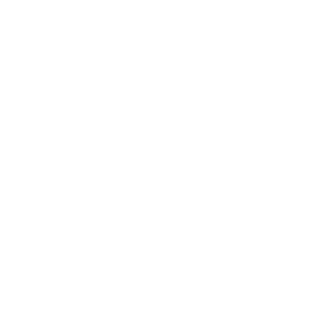 About - Polymorph - Custom Software Development